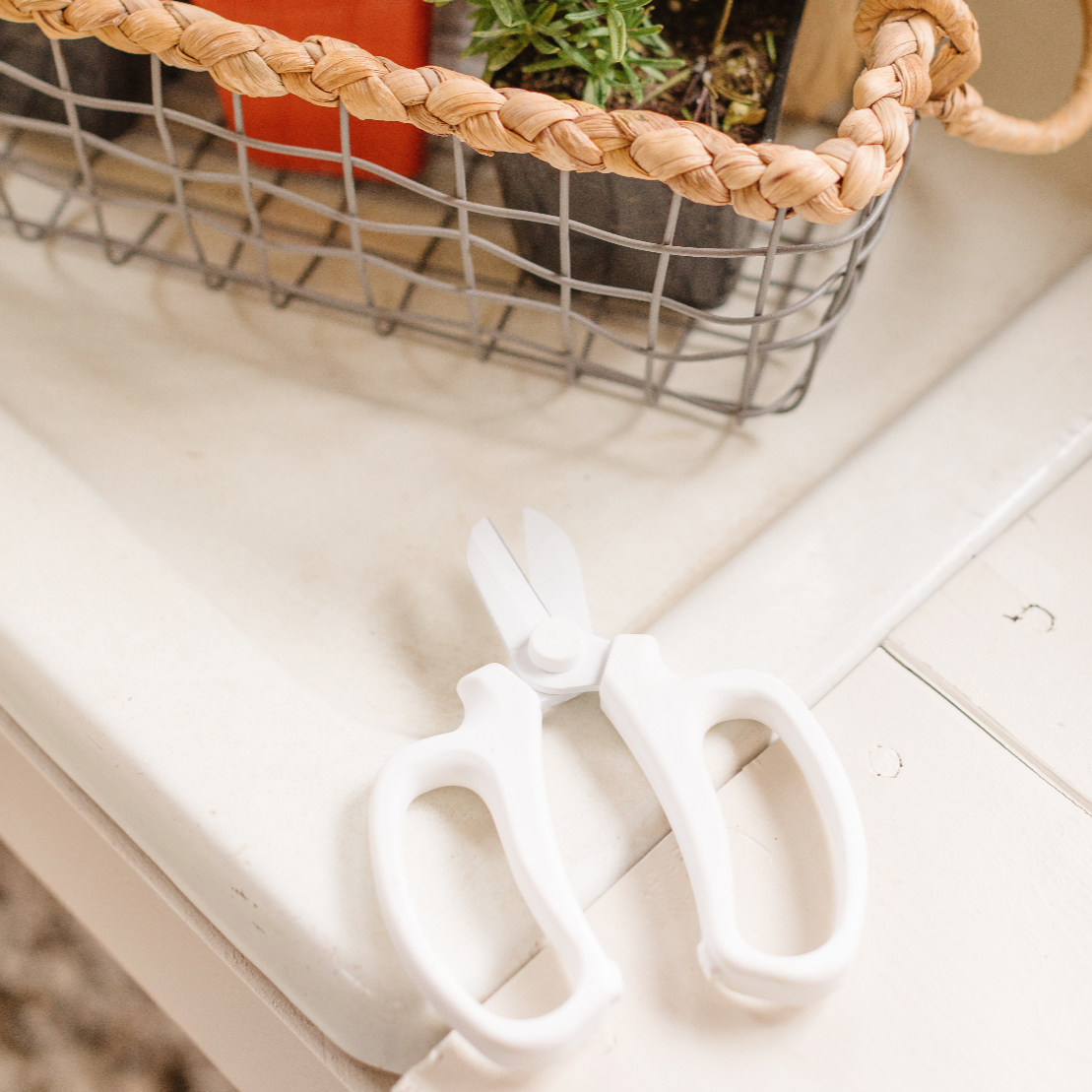 Flower Snip | Camilia Supply | Modern Modern & Floral Supply